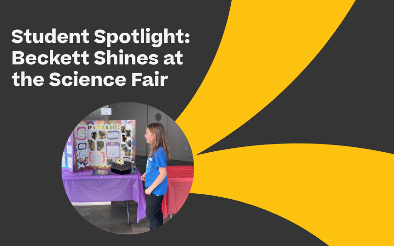 Student Spotlight: Beckett and His Award-Winning Cat Science Project ...